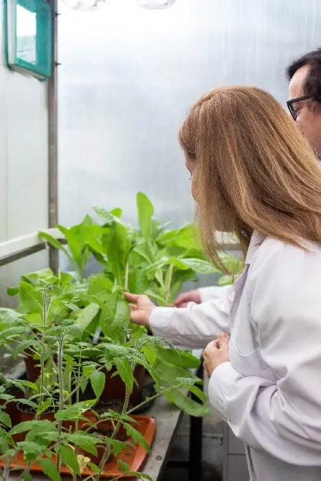 Lanzamiento del Núcleo Milenio BIOGEM: ciencia e innovación al servicio ...